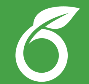 Latex Overleaf: LaTeX-Editor und -Compiler