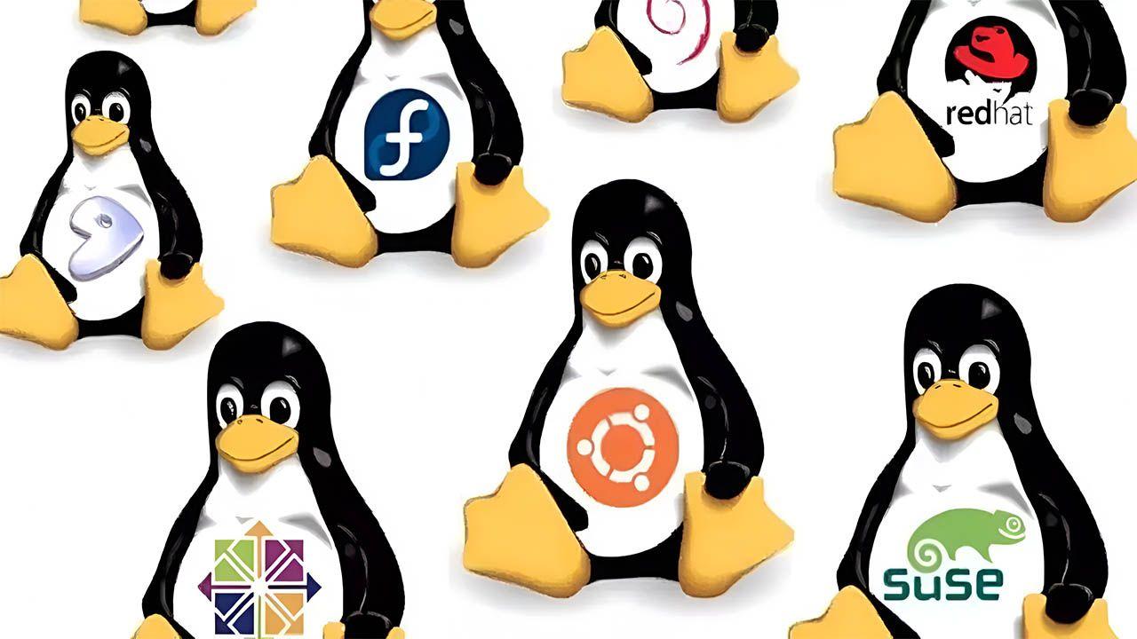 Best Linux Distributions for Beginners: A Choice Guide